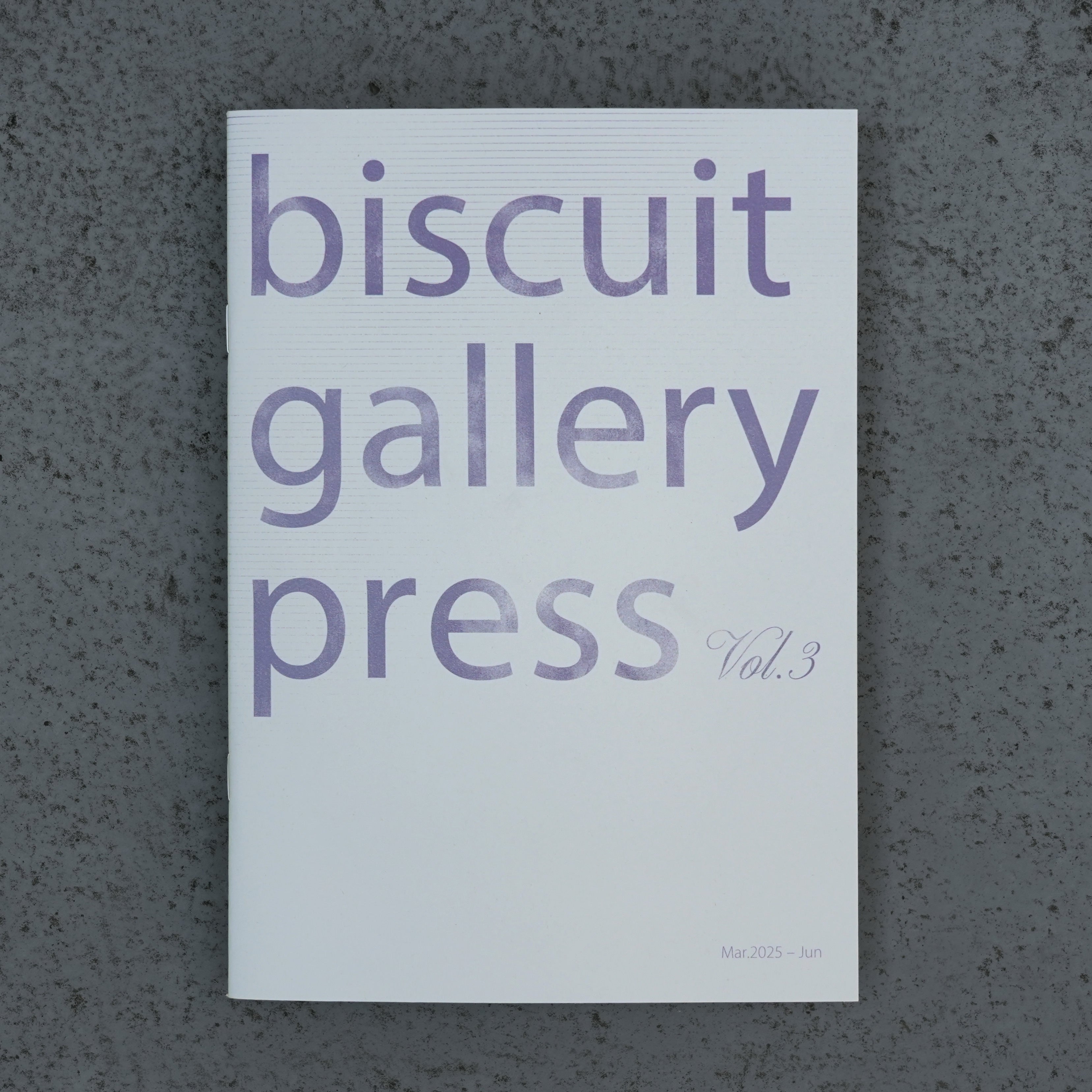 biscuit gallery press vol.1〜日本の現代アートシーンを切り取るマガジン | biscuit gallery online shop